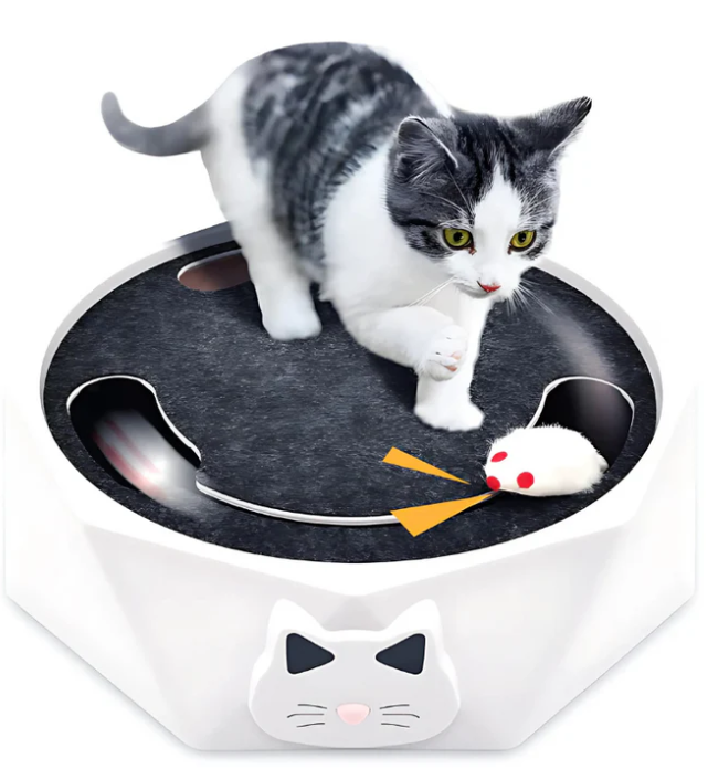 Interactive Cat Toy With Moving Mouse – Aussiewoof