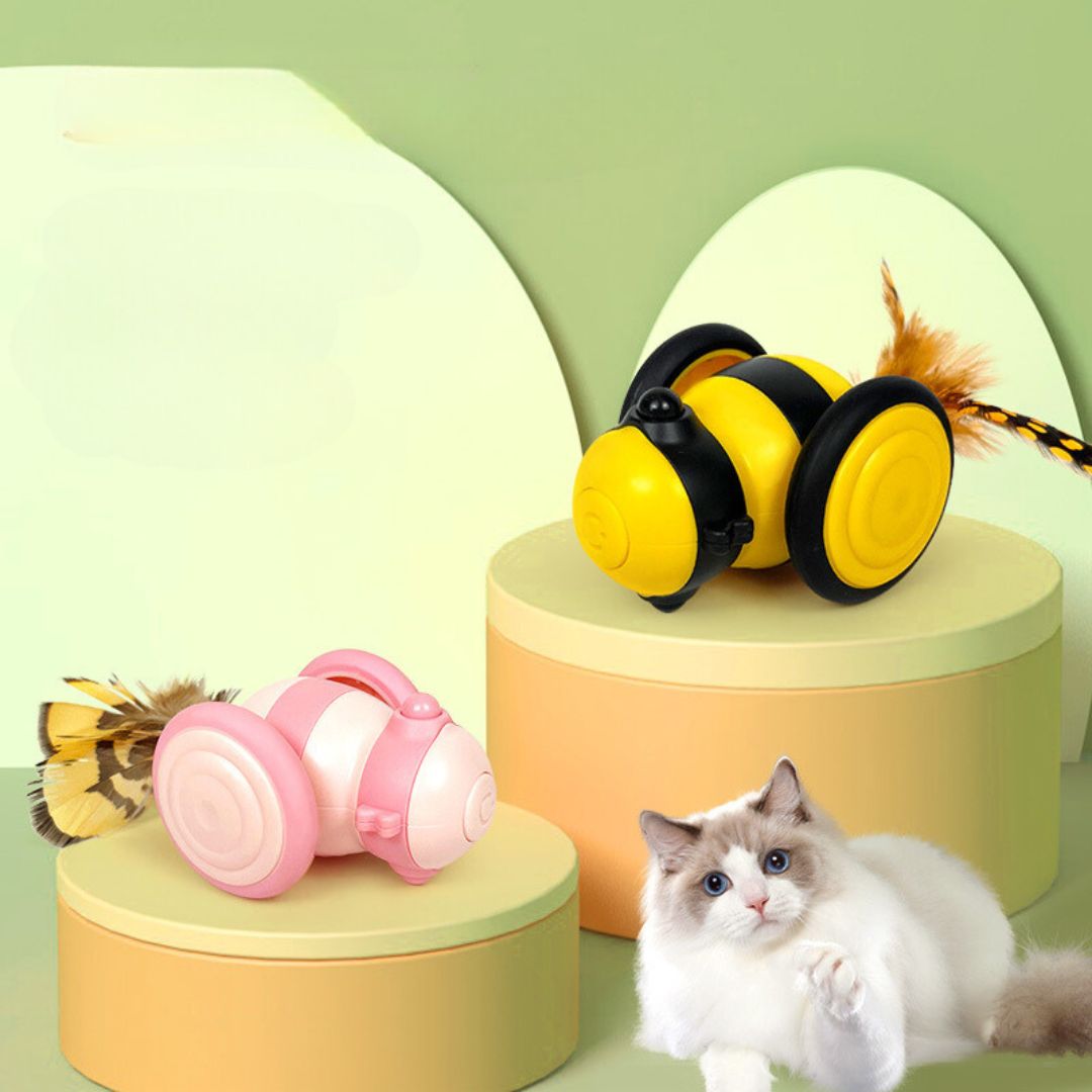 Interactive Bee Cat Toy With Feathers – Aussiewoof